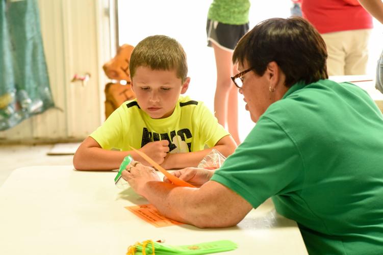 Clover Kids display projects at the fair (with photos)