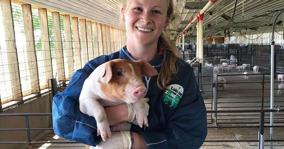 Demand for large animal veterinarians still strong in Iowa