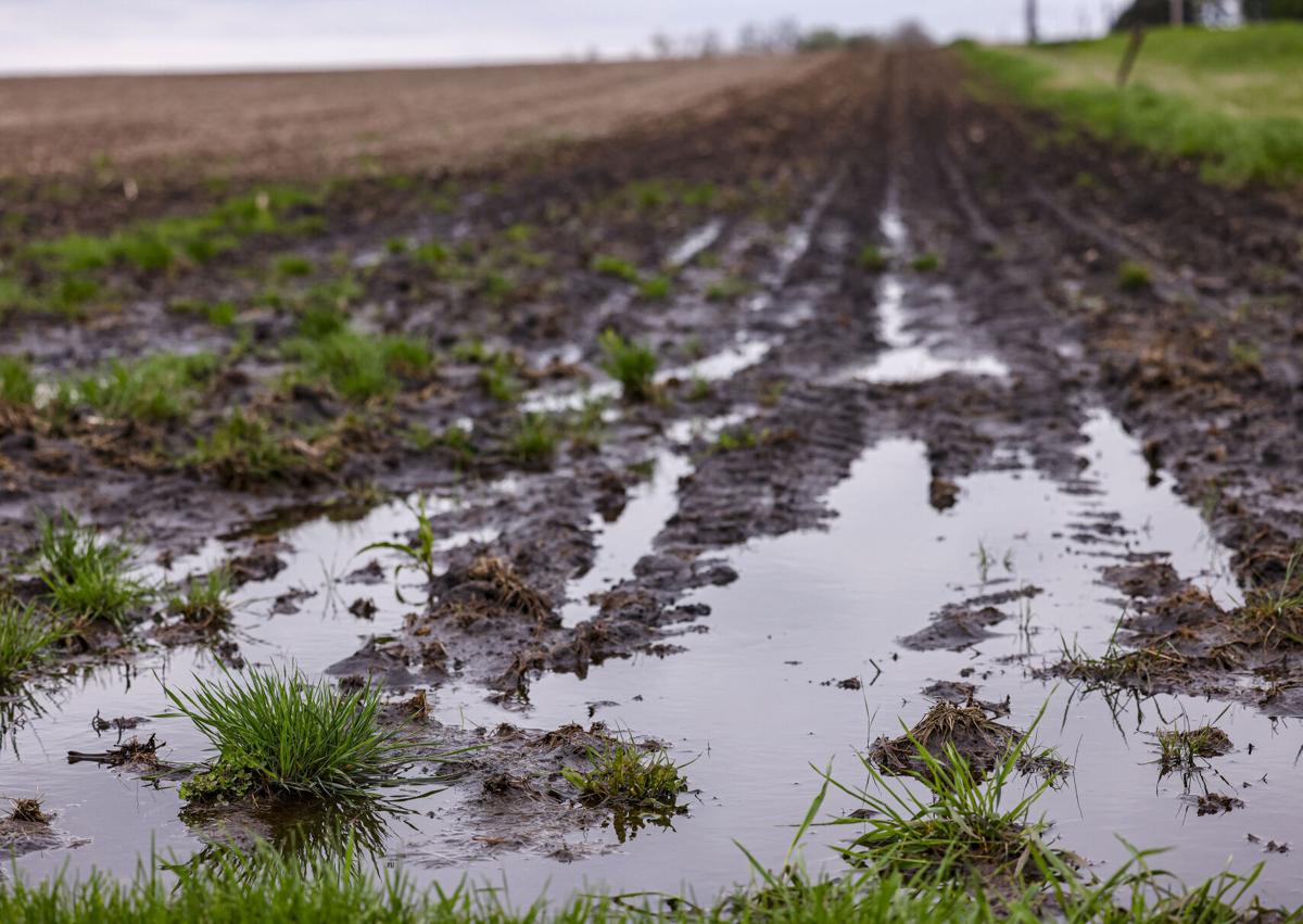 Much-needed rain keeps farmers out of the fields