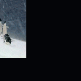 10 GIFs that explain how to drive in North Iowa this winter