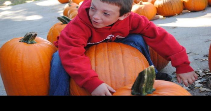 Picking the perfect pumpkin