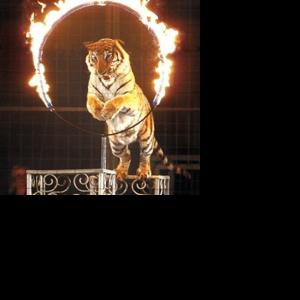 Shrine circus delights young and old