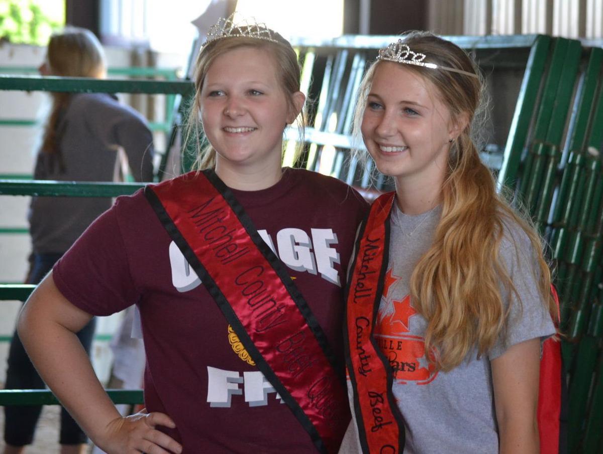 Wanted: 2018 Mitchell County Beef Queen candidates