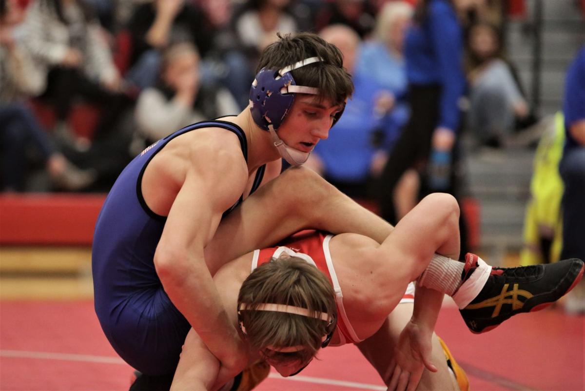 Area Roundup: Bulldogs, Panthers narrowly drop regional final duals