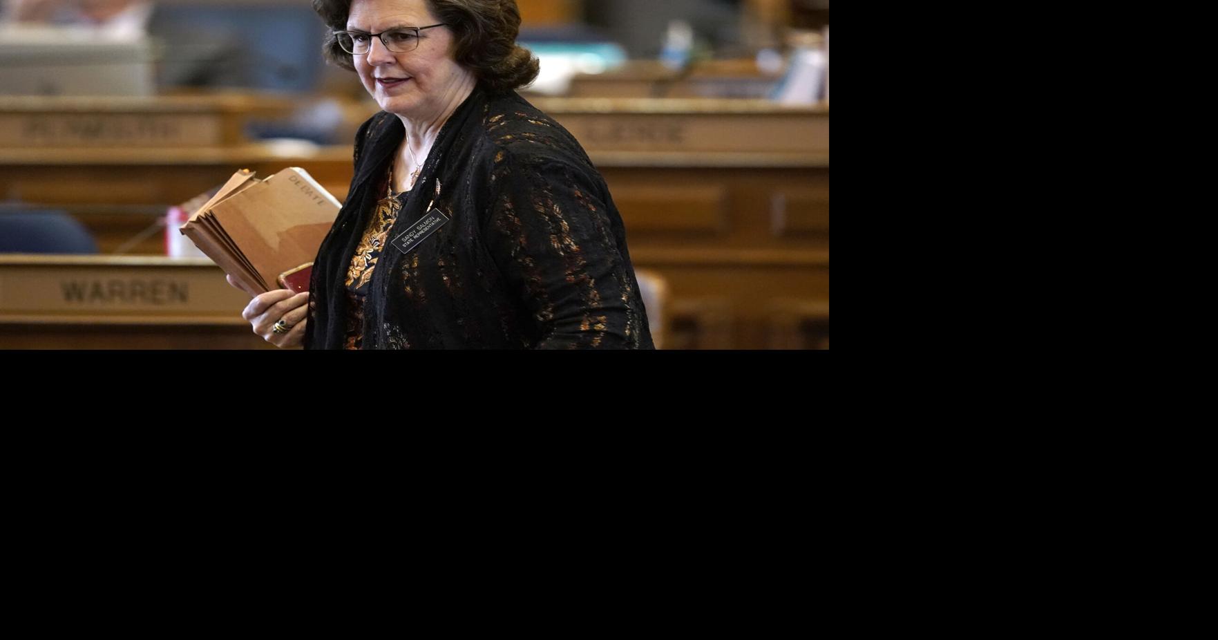 Salmon wins to move to Iowa Senate District 29