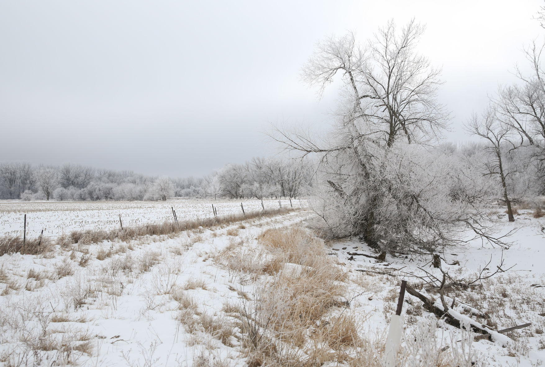 Man accused of confining woman in Mason City pleads guilty