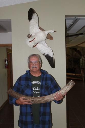 County Supervisor Smolik finds mammoth of a surprise