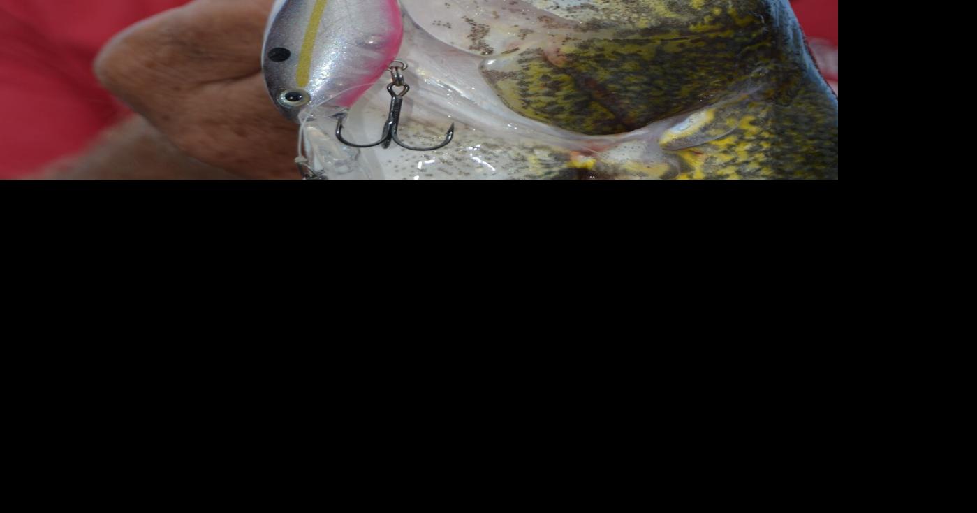 JENSEN: Pattern the fish