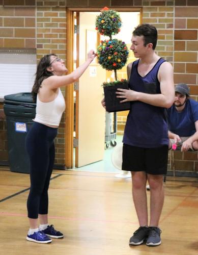 Cedar Summerstock Theater brings art to city council