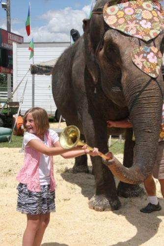Franklin Fair features elephants