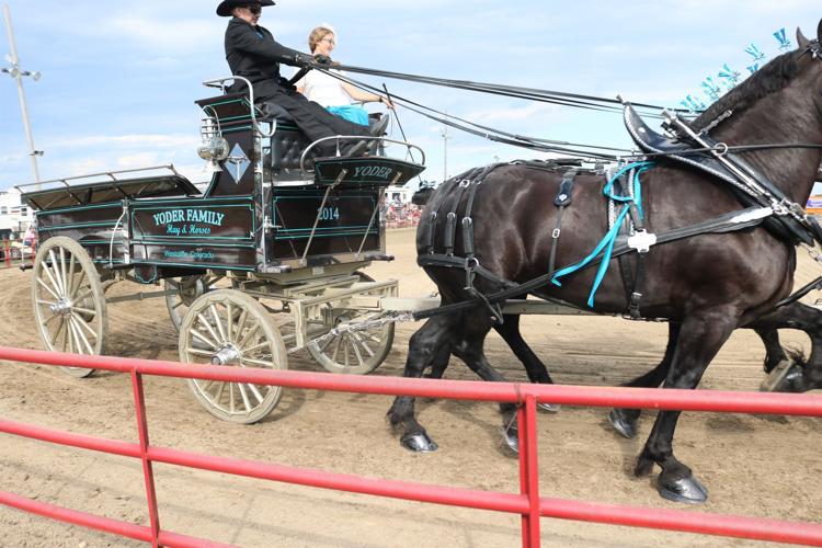 Good old fashioned fun highlights 40th annual Britt Draft Horse Show