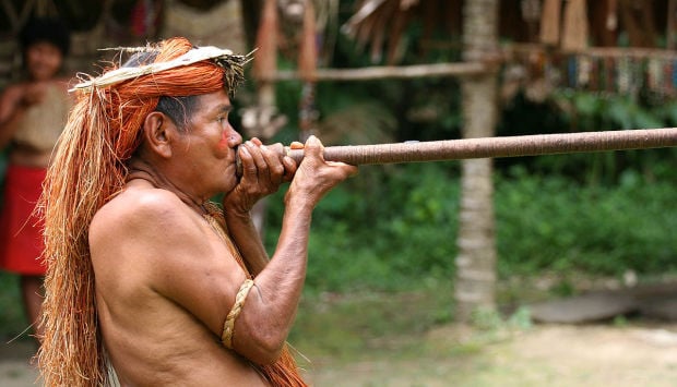 Travel series visits the Amazon