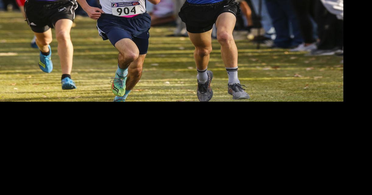 Bryce McDonough has big day at state meet