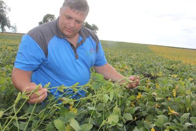 Farmers to plant record low wheat acres, most soybeans