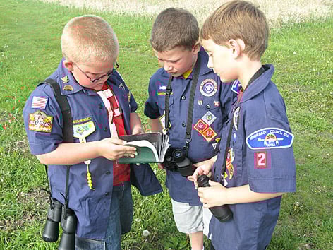 Cub Scouts hold bird-watching contest | Mason City & North Iowa ...