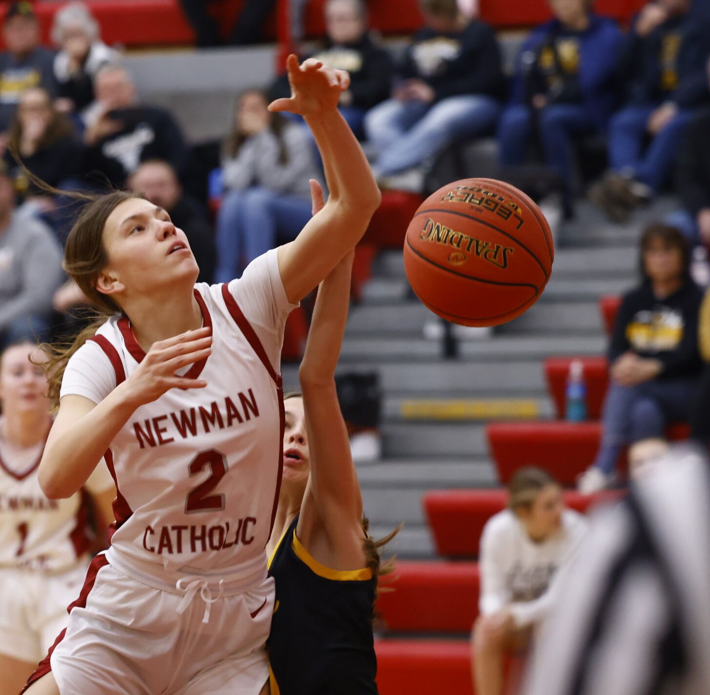 High School Girls Basketball Newman Catholic Bishop Garrigan