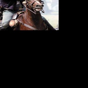 Shiloh: A Hebrew world meaning place of peace