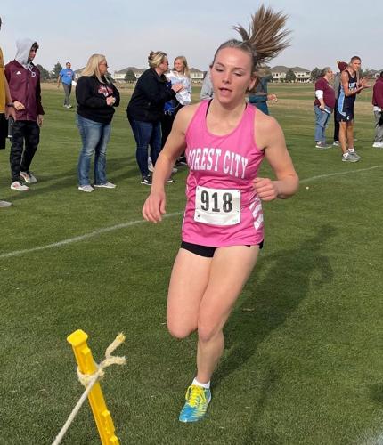 Area High School Roundup: Forest City, GHV boys claim team berths at 2A ...
