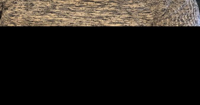 Ruth Marie Timm Groh