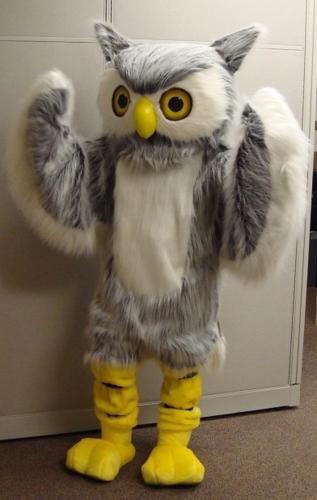 Cerro Gordo Public Health seeks name for mascot