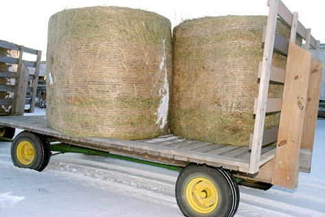 Hay prices at record highs