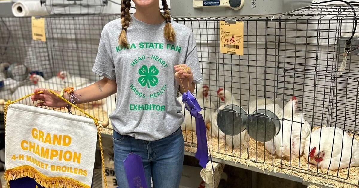 Mason City's Otto wins State Fair Award