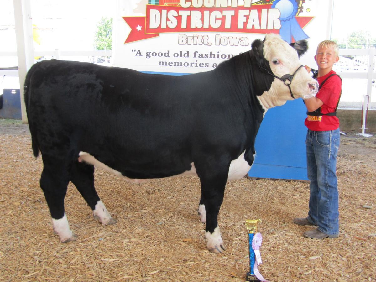 Young Garner cattle showman preparing for state fair (with photos ...