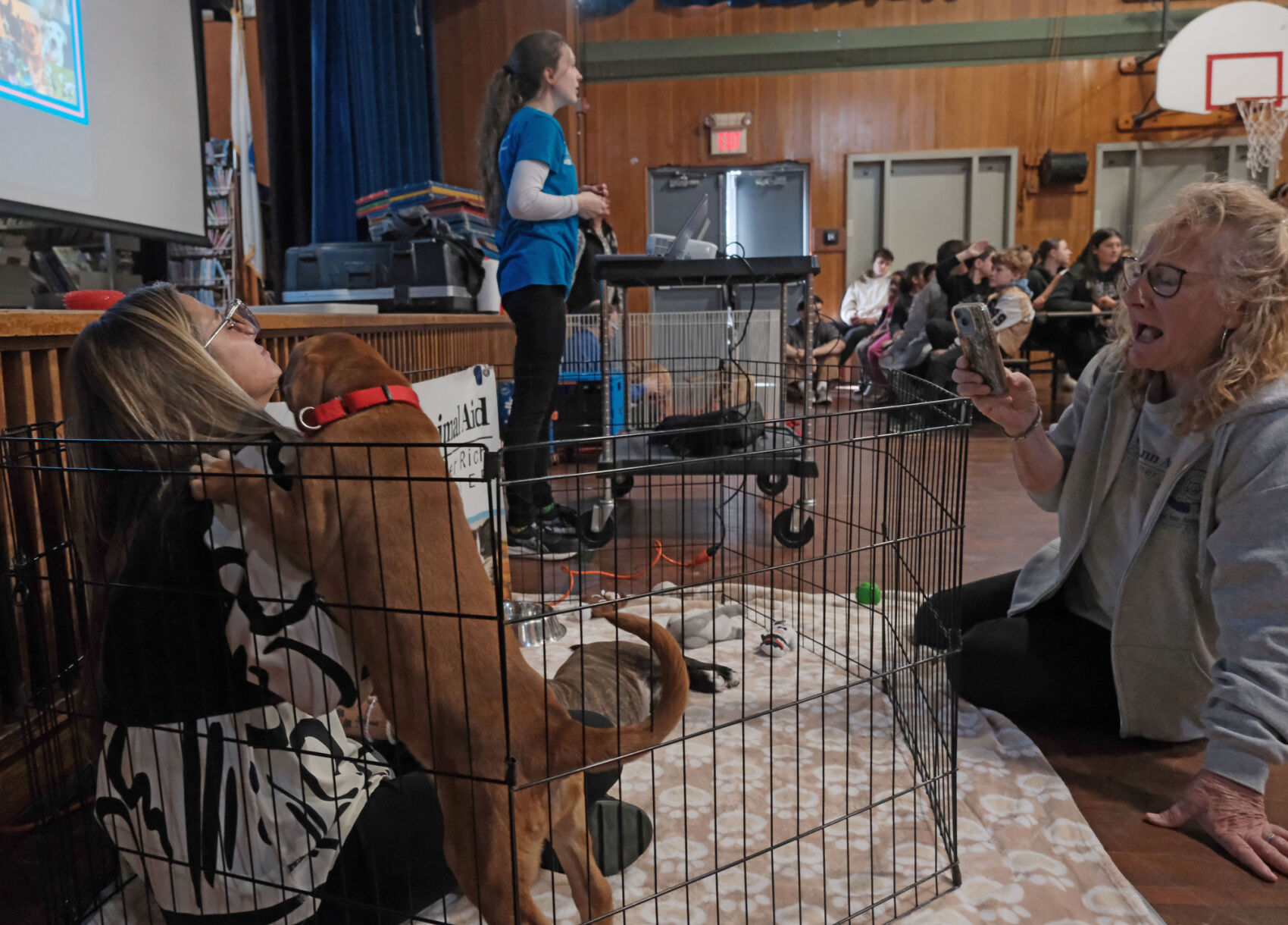 Bad to the Beeman: Students get hands-on experience with dog behavior ...