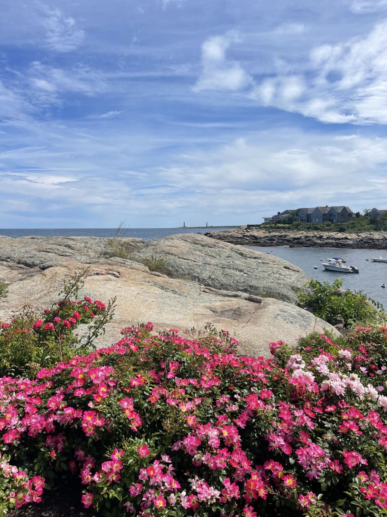 Rockport Garden Club tour blossoms; South End gardens on show Saturday ...