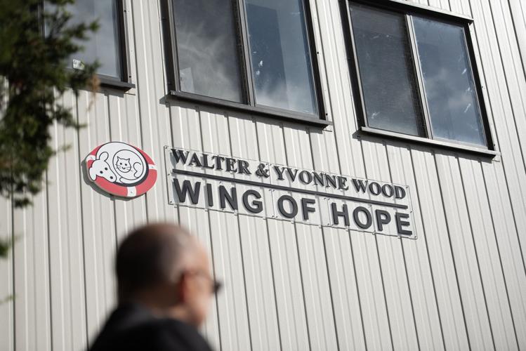 Wing of Hope opens allowing Cape Ann Animal Aid to care for more pets ...
