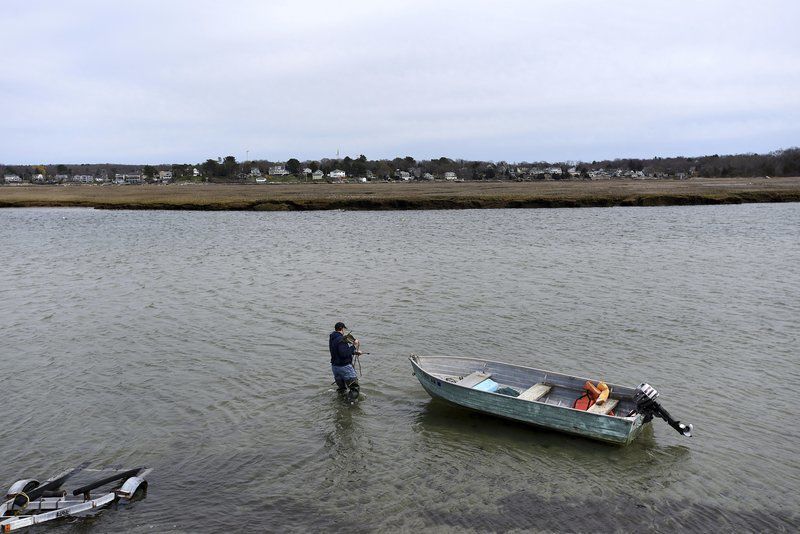COVID-19 clamps down on clammers' livelihood | Fishing Industry News ...