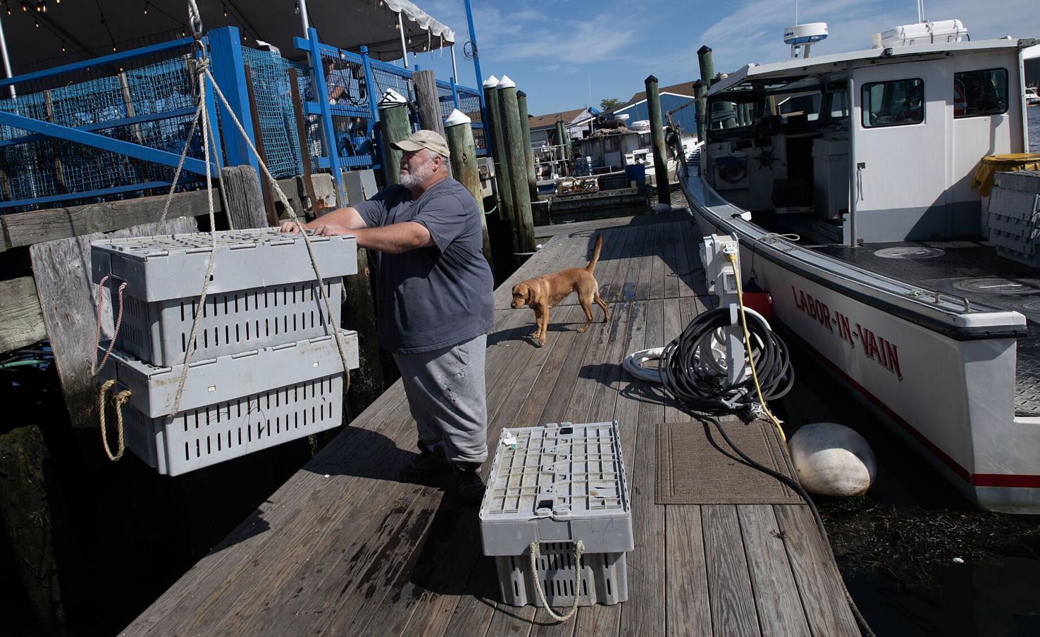 Site | gloucestertimes.com