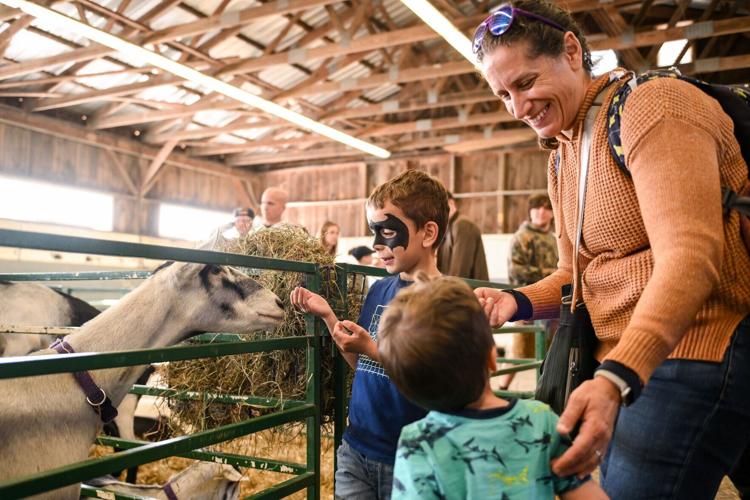 Topsfield Fair returns for 207th year Friday | Local News ...