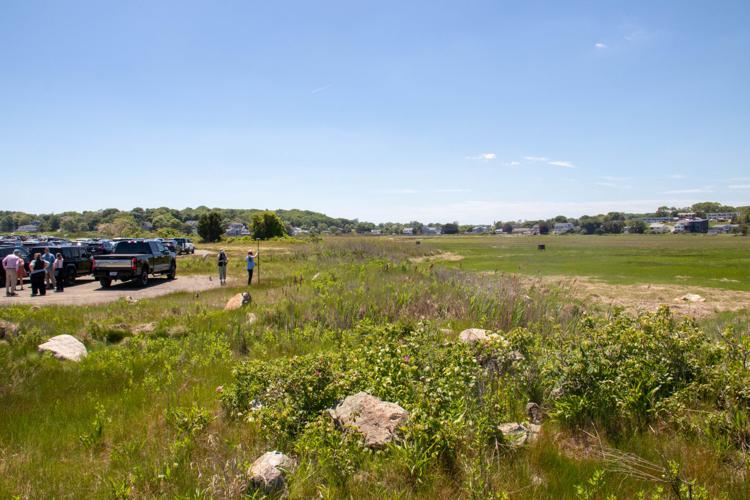 First steps taken in nature-based resiliency plan at Good Harbor Beach ...