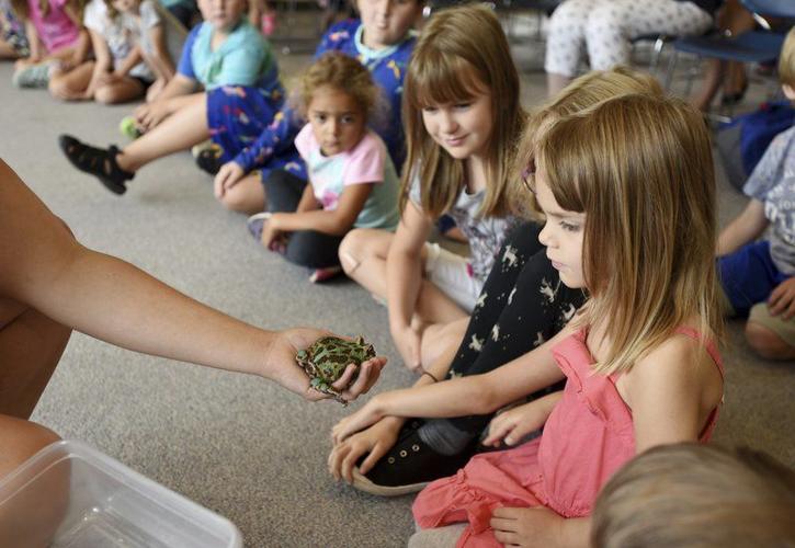 Slimey or spiny: Children visit with exotic animals | Local News ...