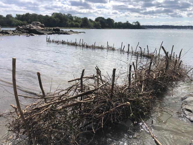 Students build native fishing weirs at Salem's Cat Cove | Fishing ...
