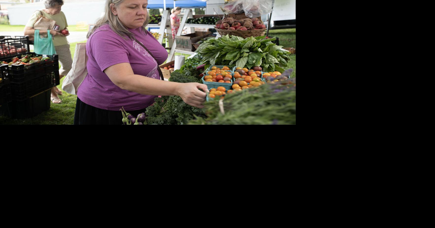 Backyard Growcery hits a growth spurt | News | gloucestertimes.com