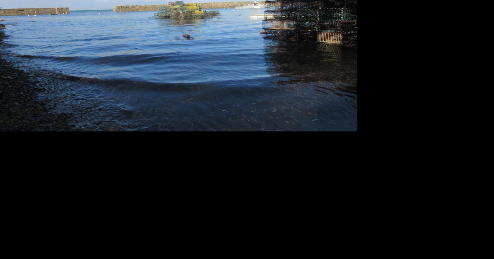 Streets flood, sewers overflow, and a fire at Motif No. 1 during ...