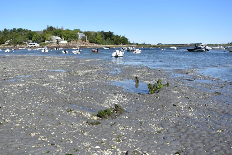 Tides reveal previously undiscovered Conomo Point shipwreck | News ...