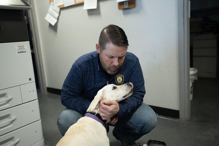 Daisy reports for duty, makes splash in Manchester-by-Sea | Local News ...