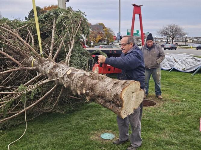 Kent Circle Christmas tree raised as parade planned | Lifestyle ...