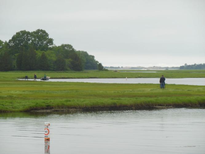 Surefire sign of summer: Region prepares for arrival of greenheads ...