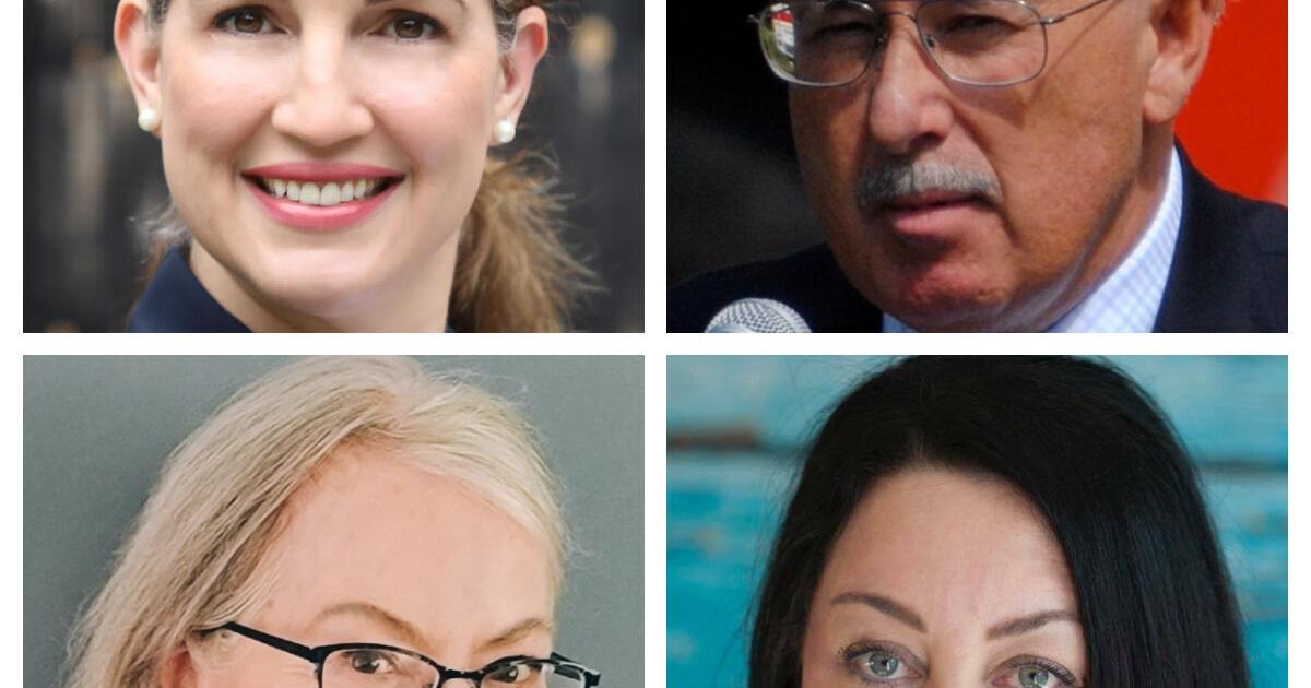 A look at the 4th Essex candidates | Election | gloucestertimes.com