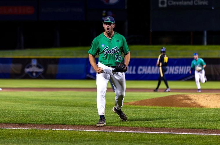 Endicott baseball advances to College World Series final for first time ...
