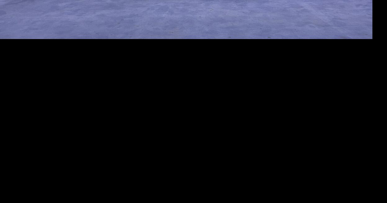 BEST OF THE BEST: Gedney has successful stint at National Golden Gloves ...