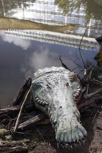 FishOn: When terror crocodiles roamed the coast | Fishing Industry News ...