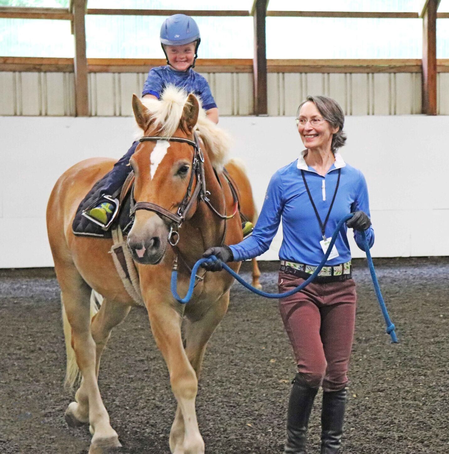 Windrush seeking horse-loving volunteers | Lifestyle | gloucestertimes.com