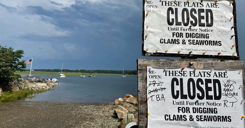 UPDATE: Red tide closes Cape Ann shellfishing beds | Fishing Industry ...