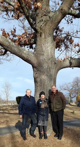 Branching out: Looking to nature to create a 400+ legacy | 400th ...