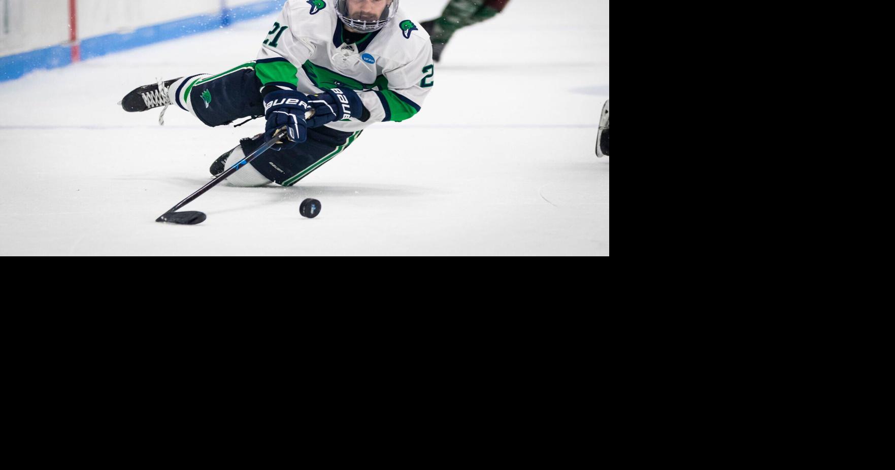 Endicott Frozen Four notebook: Bourque Arena takes on a new look for ...